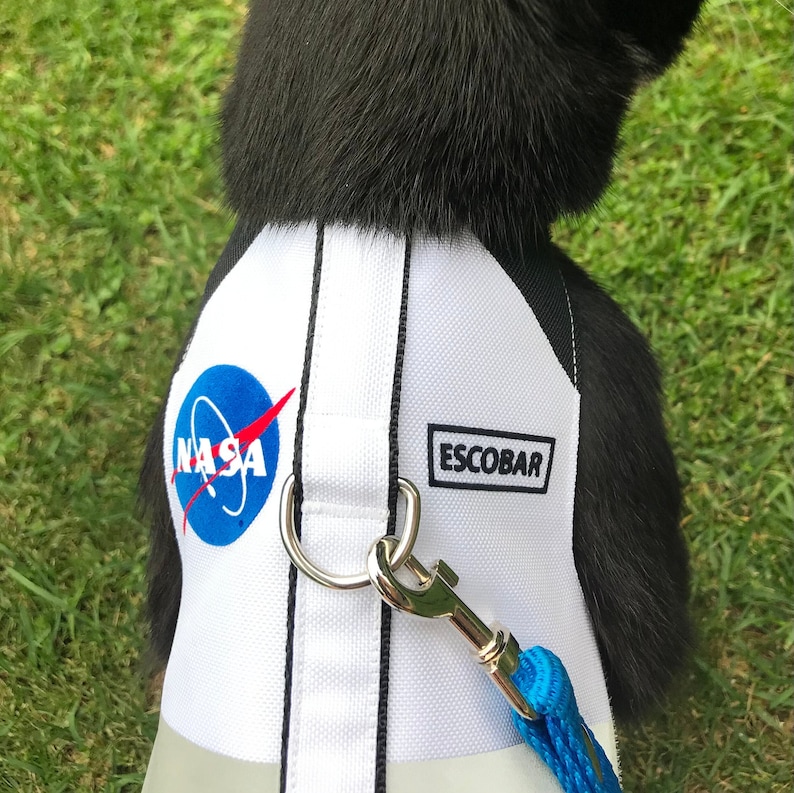 Personalised NASA Cat Harness With Your Cat's Name and | Etsy