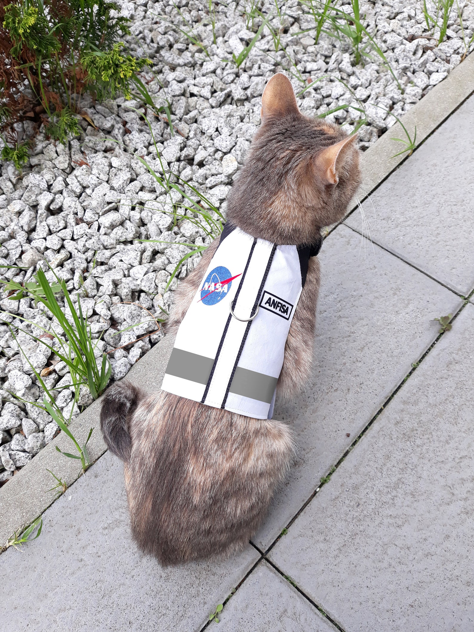 Personalised NASA Cat Harness With Your Cat's Name and | Etsy