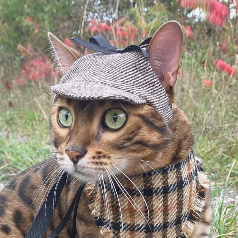 Oonapatternsetc - Etsy