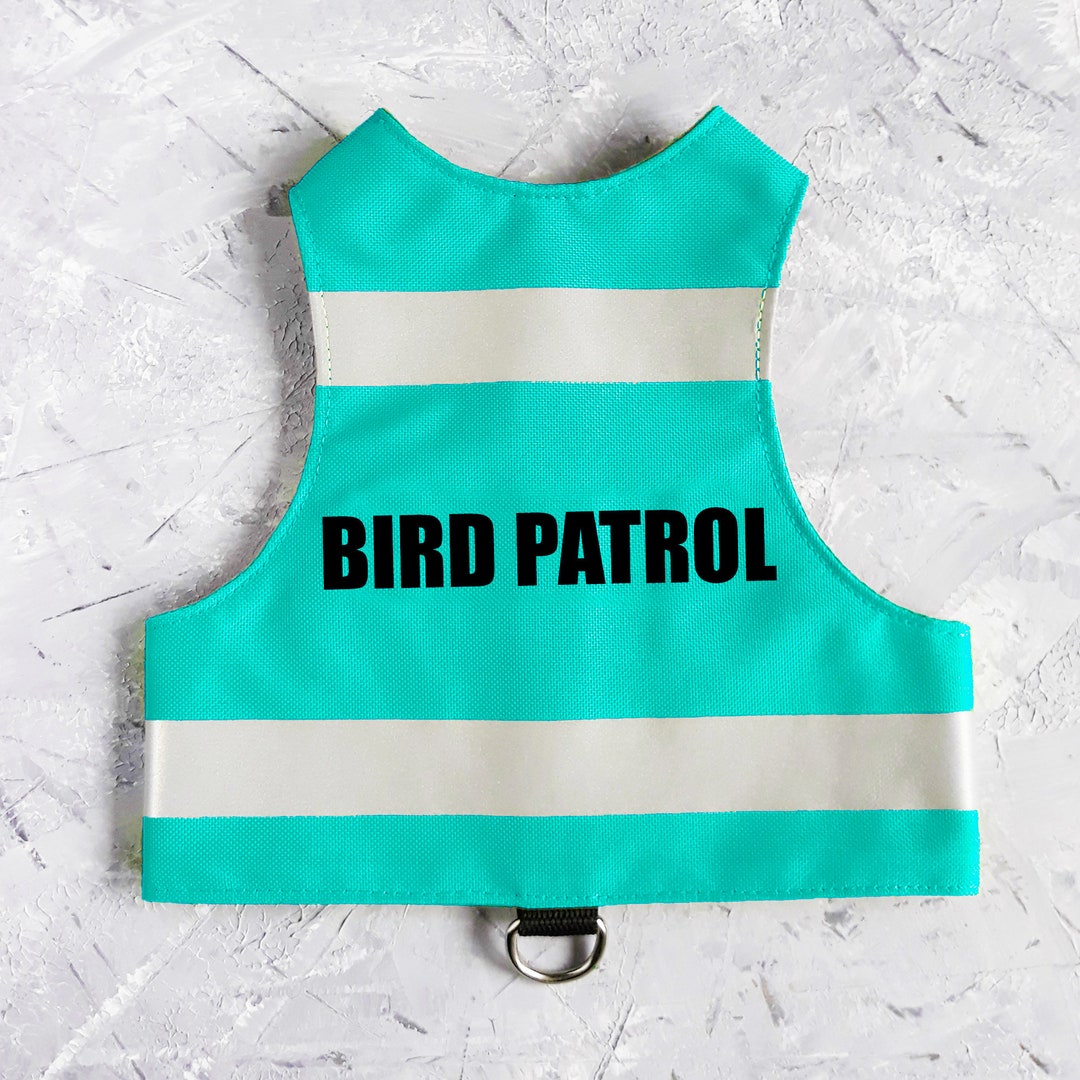 Cat Harness Escape Proof. BIRD PATROL. Water-repellent Turquoise Safety ...