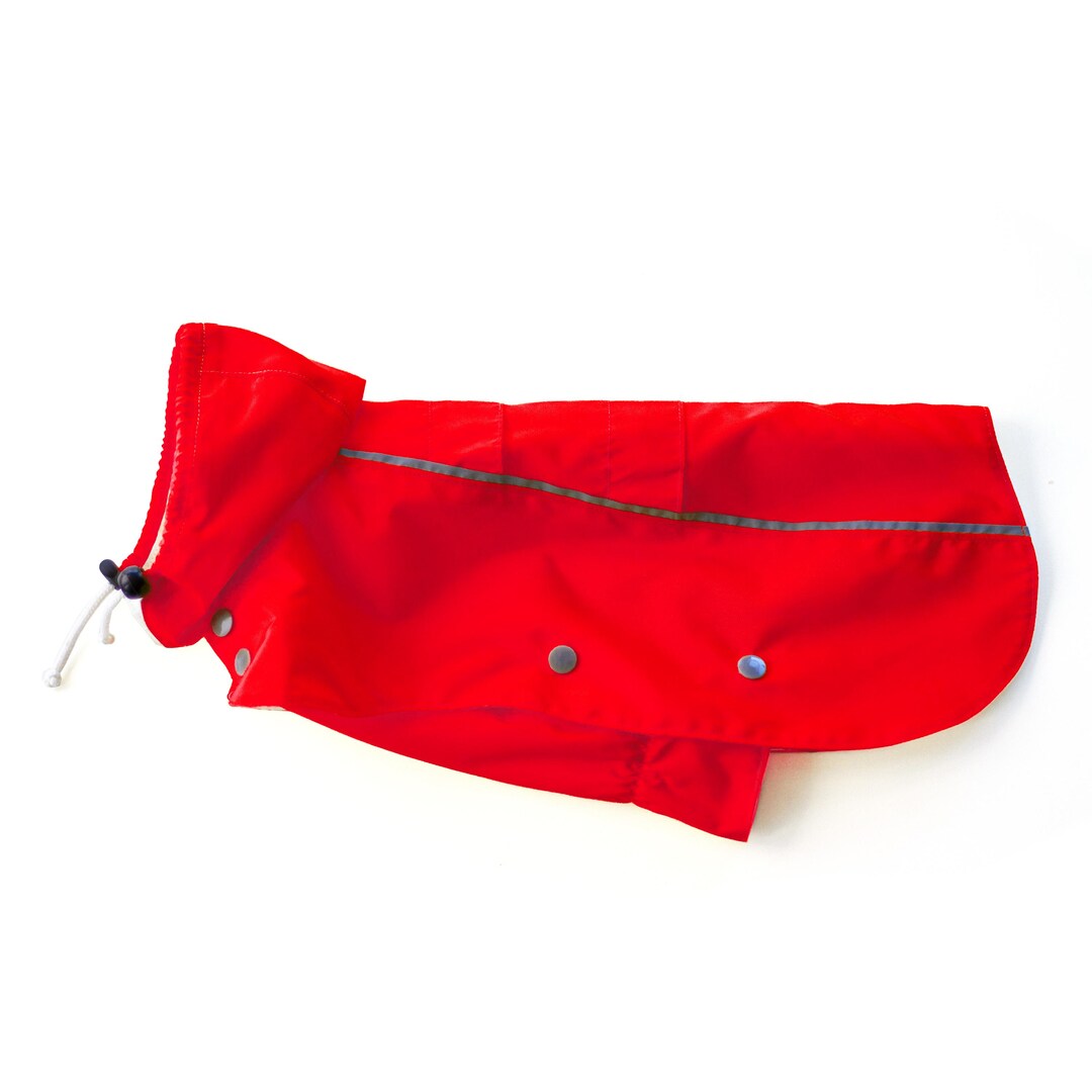 CAT Rain Coat With Removable Hood and Two Holes for Leash, Waterproof ...