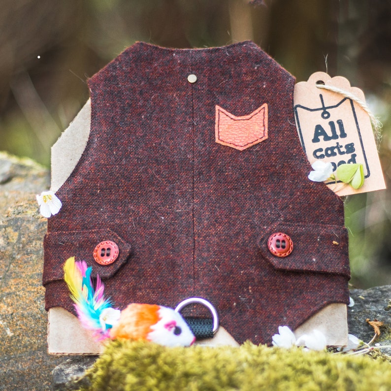 Classic Tweed Cat Walking Jacket. Burgundy cat harness. Escape | Etsy