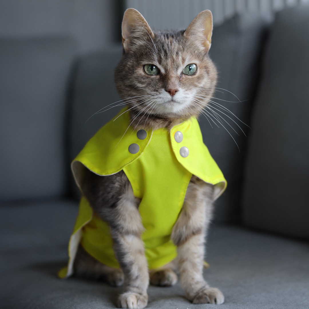 CAT Rain Coat, Waterproof Cat Jacket, Comfortable Cat Raincoat, Cat ...