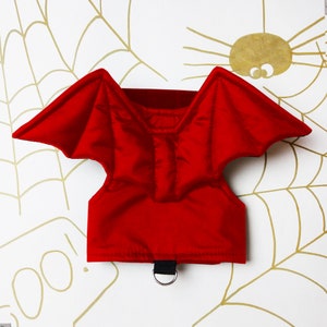 Red Dragon. Cat Walking Jacket. Difficult to Escape. Red Harness With ...