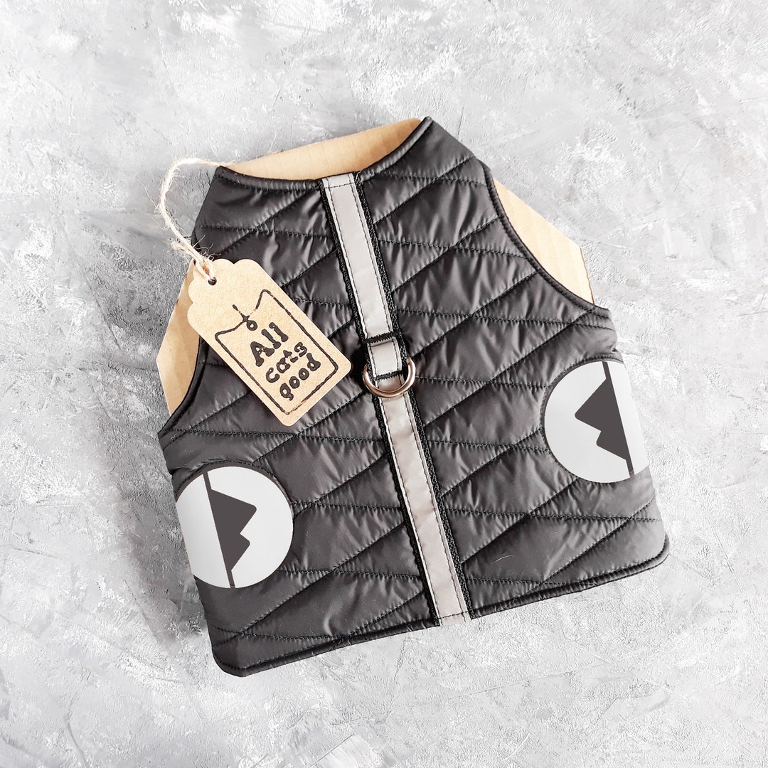 Reflective High Visibility Harness for Cat. Difficult to Escape. Safety ...