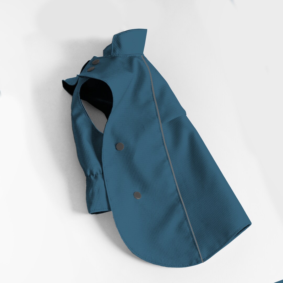 CAT Rain Coat, Waterproof Cat Jacket, Comfortable Cat Raincoat, Cat ...