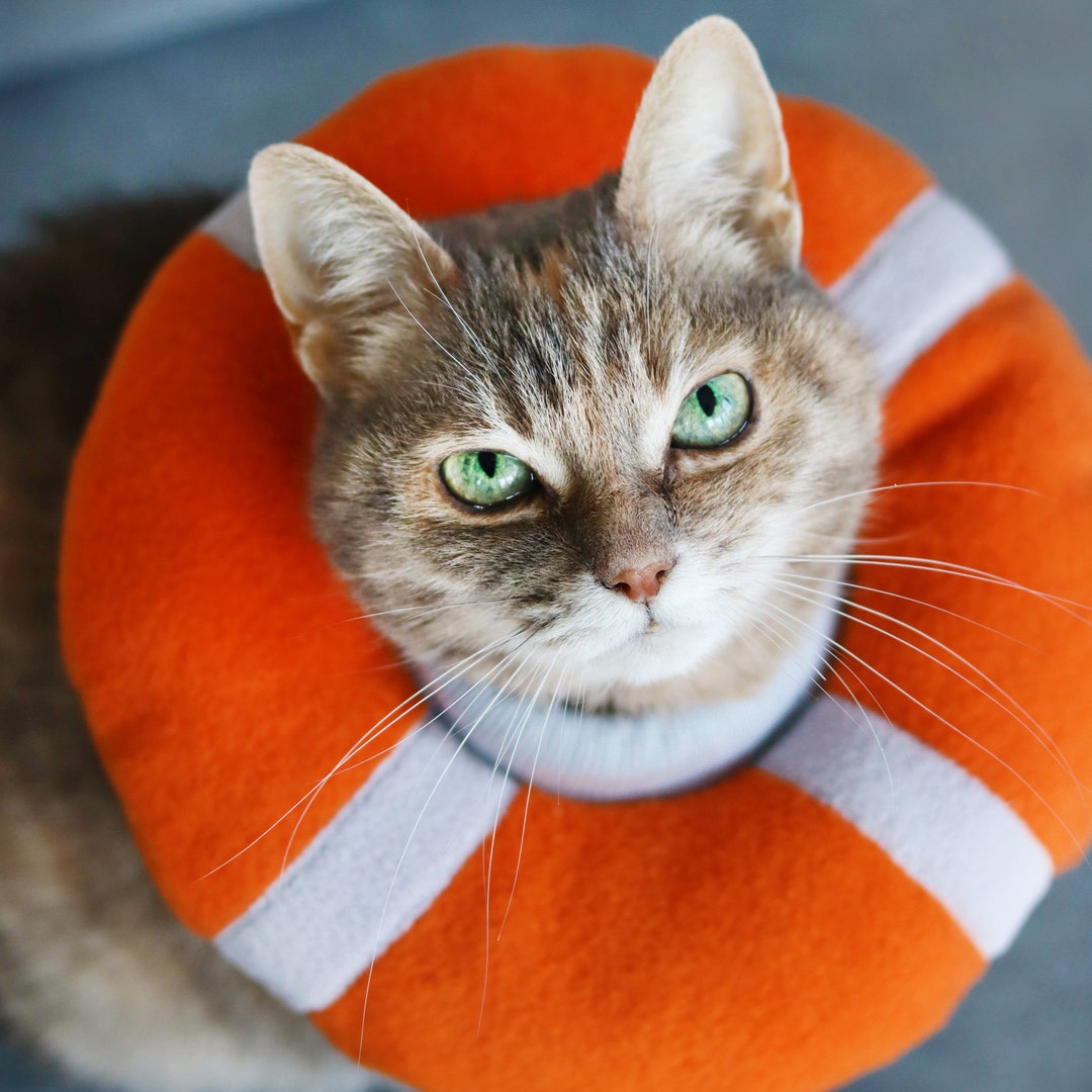 Pet Recovery Collar "life Ring". Surgery Cone. Comfortable Elizabethan ...