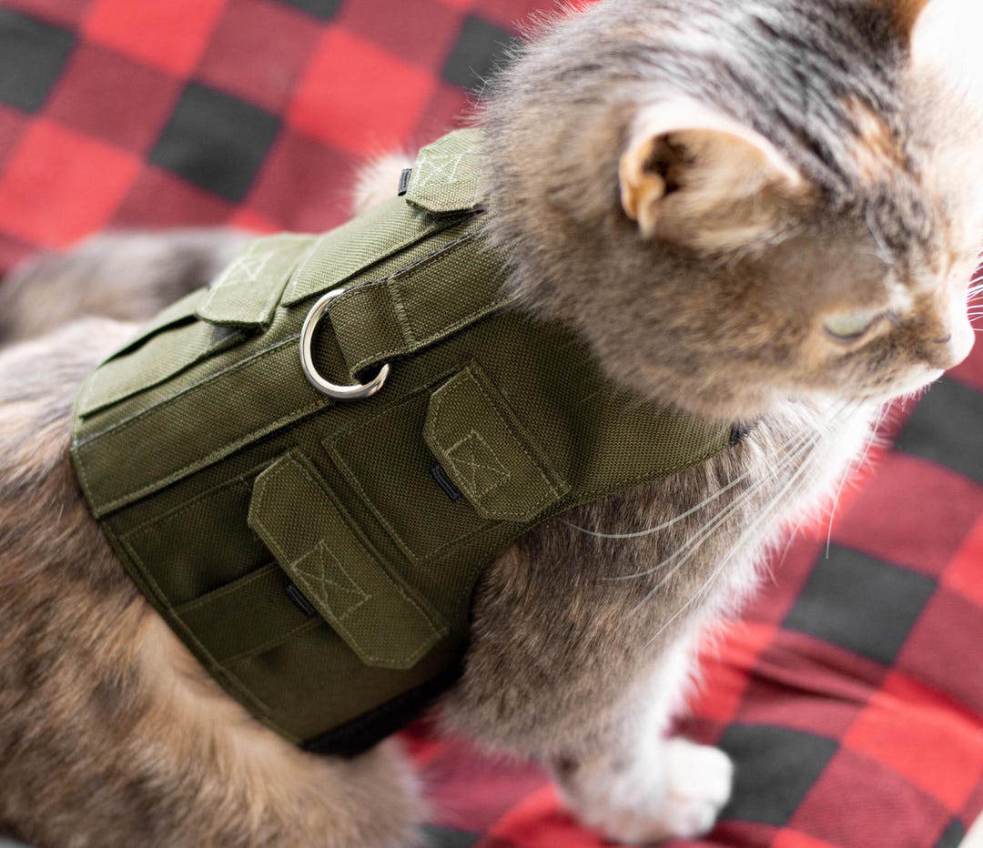 Tactical Khaki Fishing Cat Vest. Custom-made Cat Harness With Pockets ...