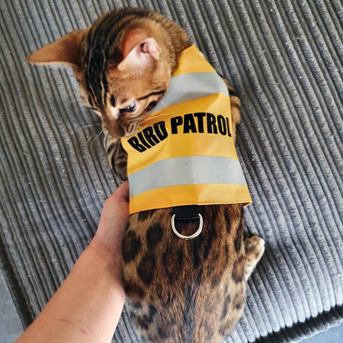 BIRD PATROL. Water-repellent Yellow Safety Cat Harness With | Etsy
