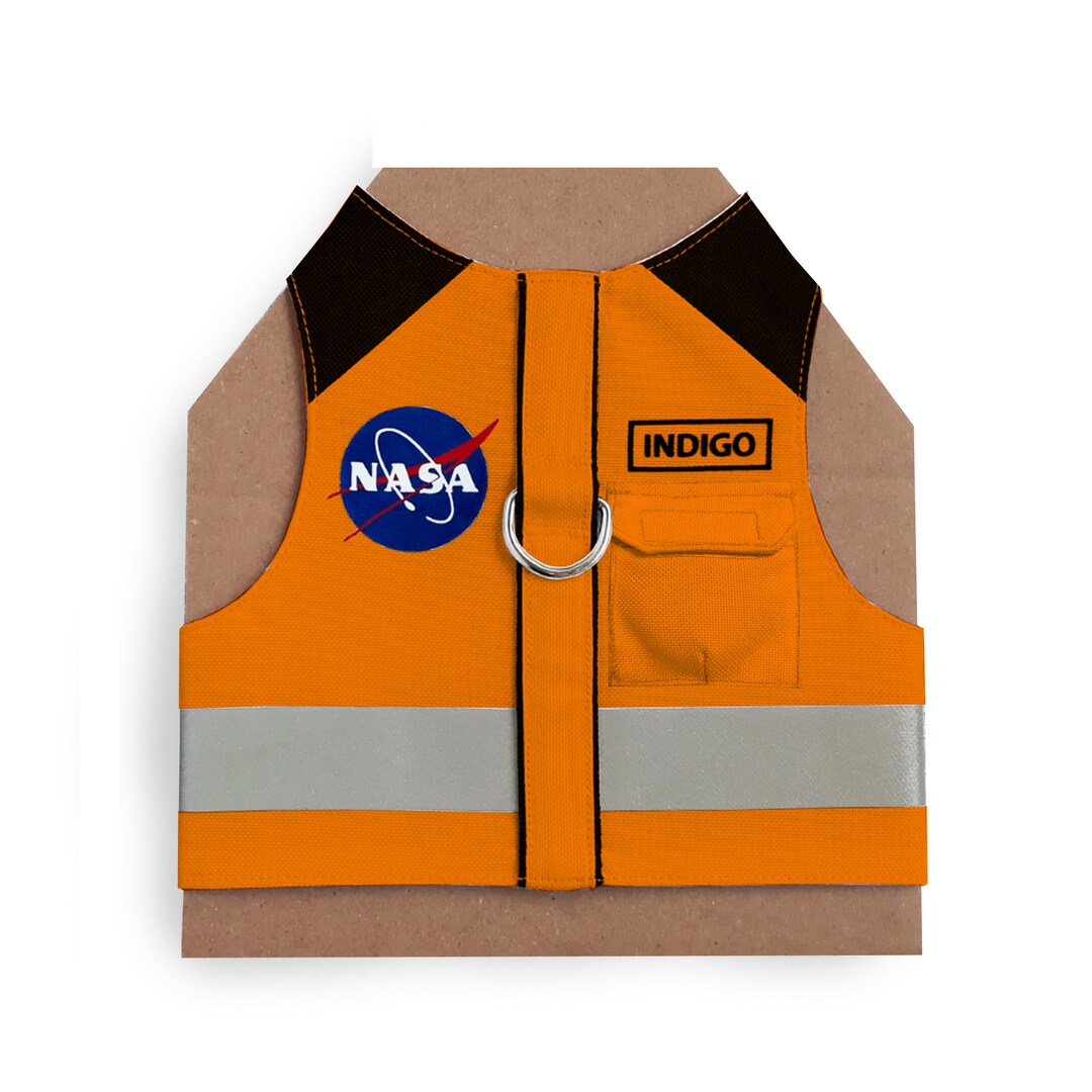 Personalised NASA Cat Harness With Pocket for AirTag and Your - Etsy