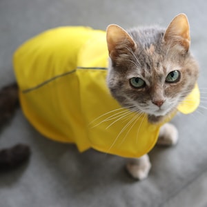 CAT Rain Coat, Waterproof Cat Jacket, Comfortable Cat Raincoat, Cat ...