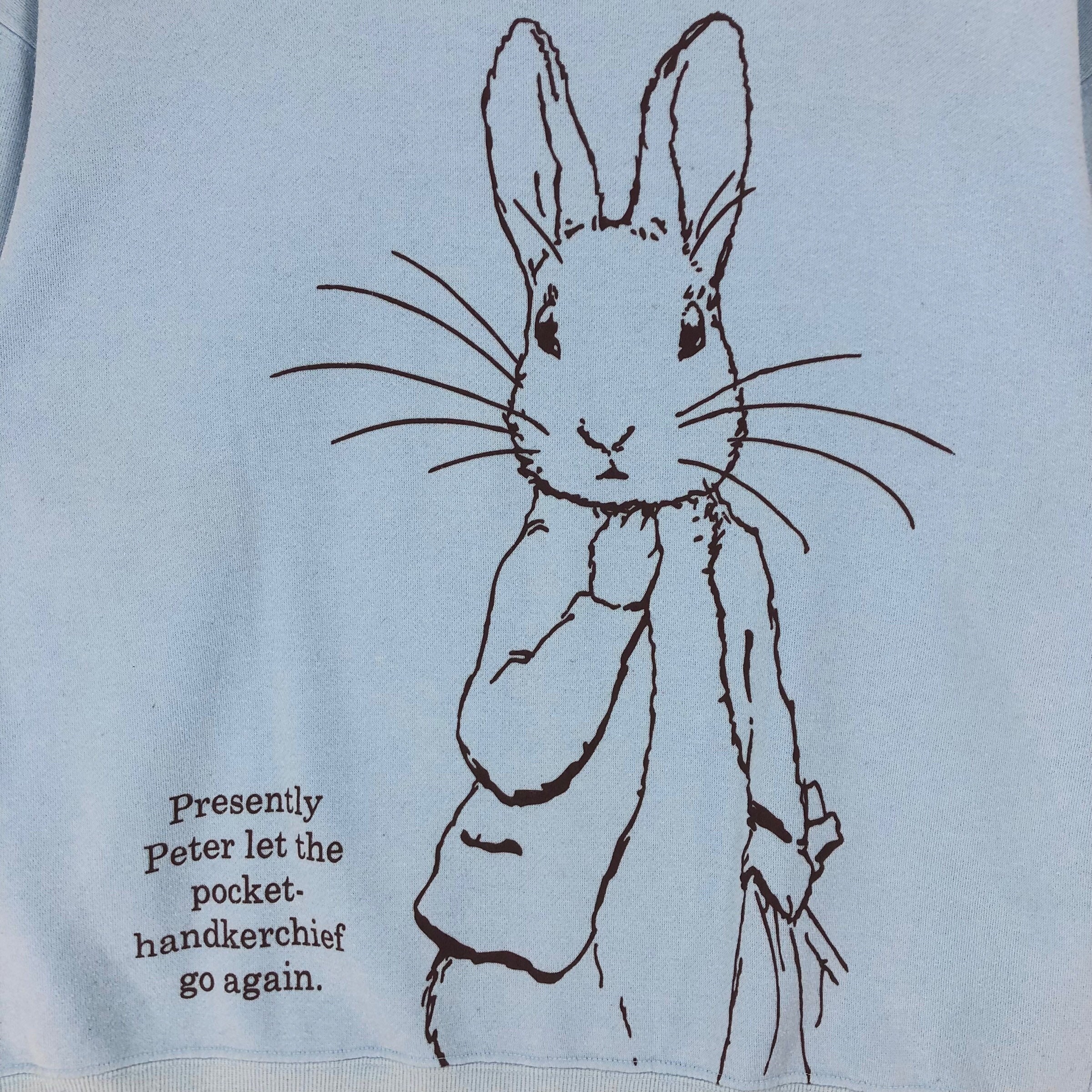 Vintage 90s the World of Peter Rabbit Crewneck Sweatshirt Pullover Big ...