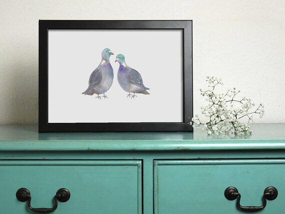 Pigeons Poster A4 | Etsy