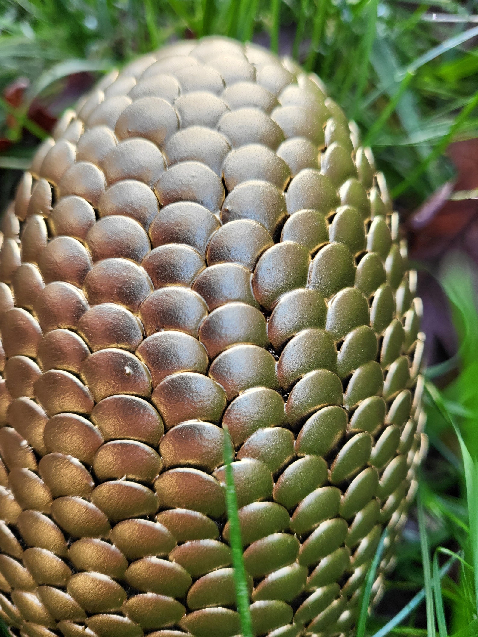 Golden Dragon Egg Figurine Mermaid Dinosaur 6-inch Decoration - Etsy