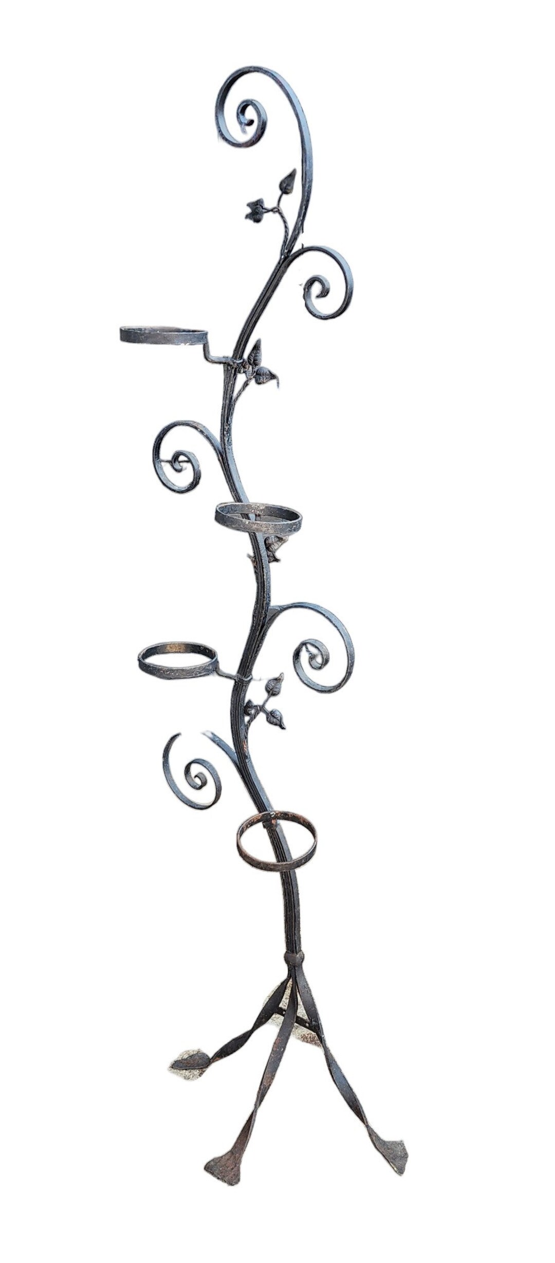 Mid Century Hand Wrought Iron Wall Climbing Flat Back Scroll Plant ...
