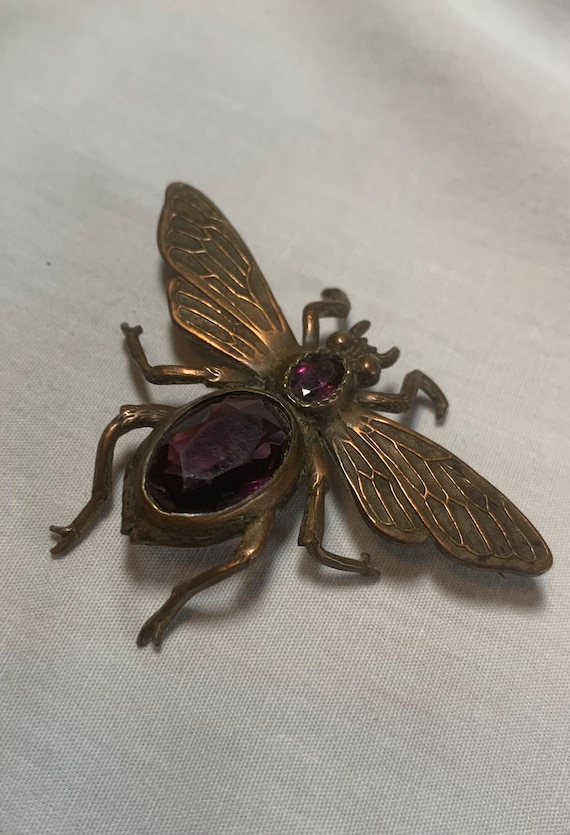 insect brooch - Gem