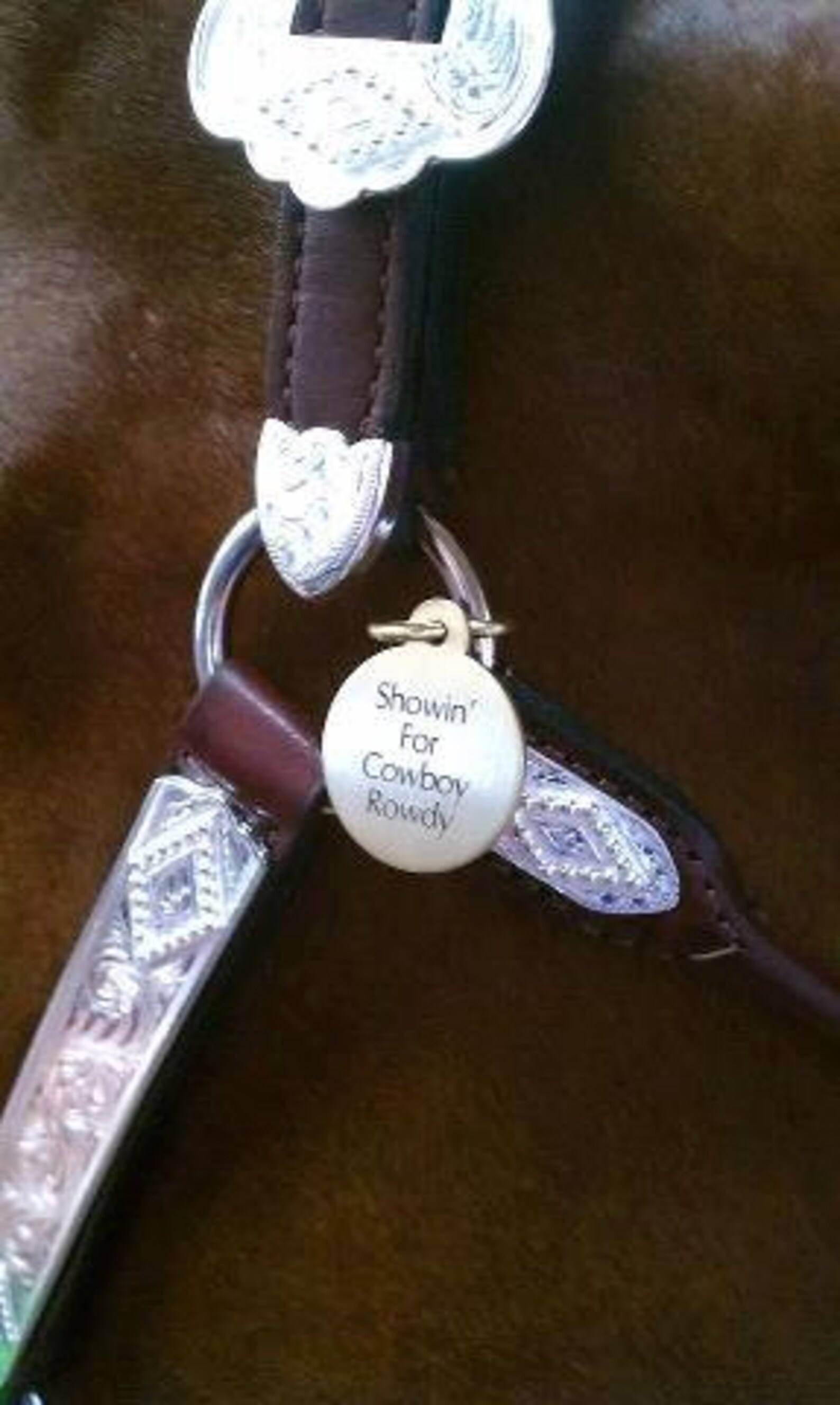 Halter or Bridle or Saddle ID Tag Large Pet ID Tag Brass Engraved ...
