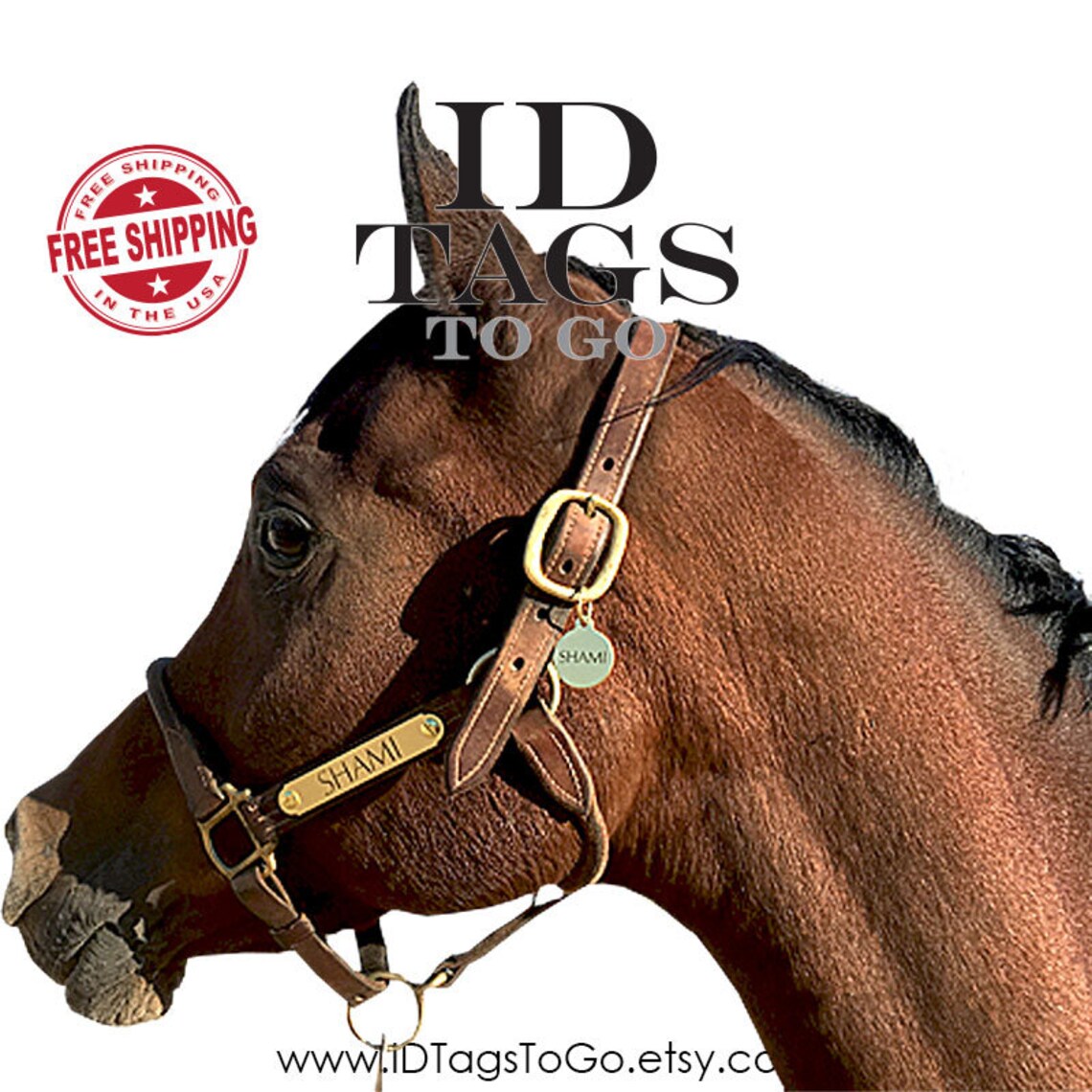 Halter or Bridle or Saddle ID Tag Large Pet ID Tag Brass Engraved ...