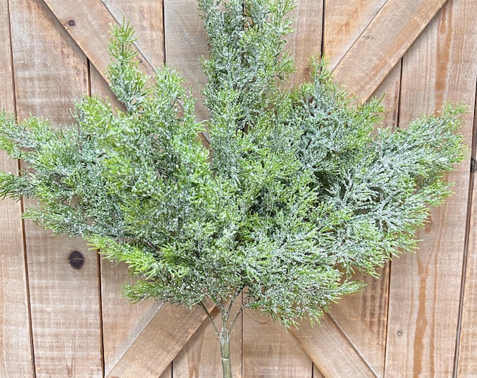 Cedar With Iced Bush, 21 Inches, Greenery, Wreath Attachment, Christmas ...