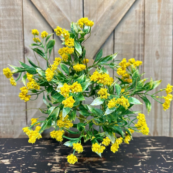 Yellow Butterfly Bush - Etsy