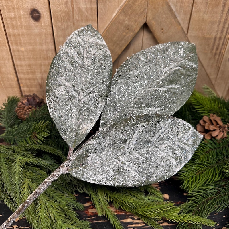 Magnolia Snow Will - Etsy