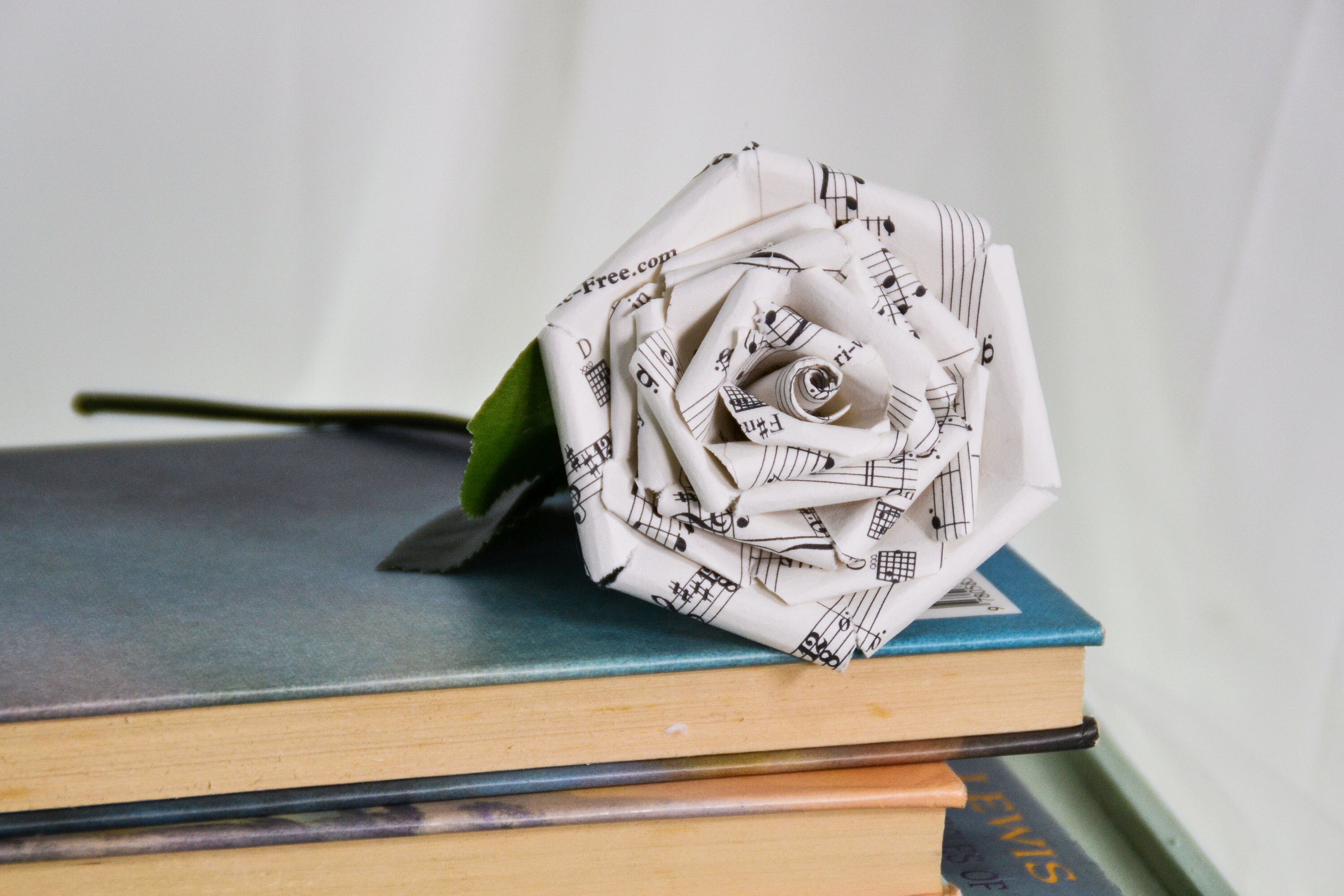 Paper Roses Comic Book Music Sheet Song Lyrics and Book - Etsy