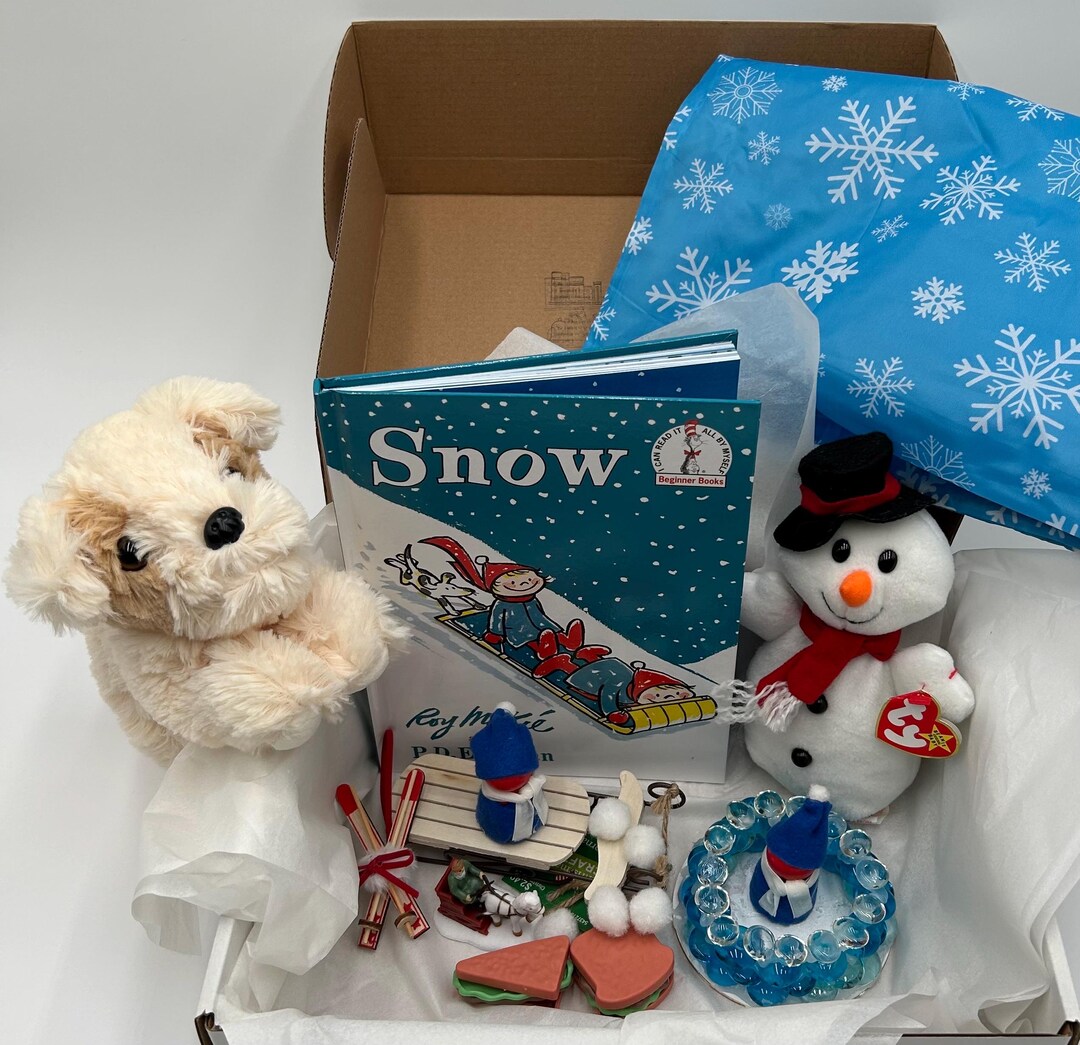 Snow Picture Book Box With Manipulatives - Etsy