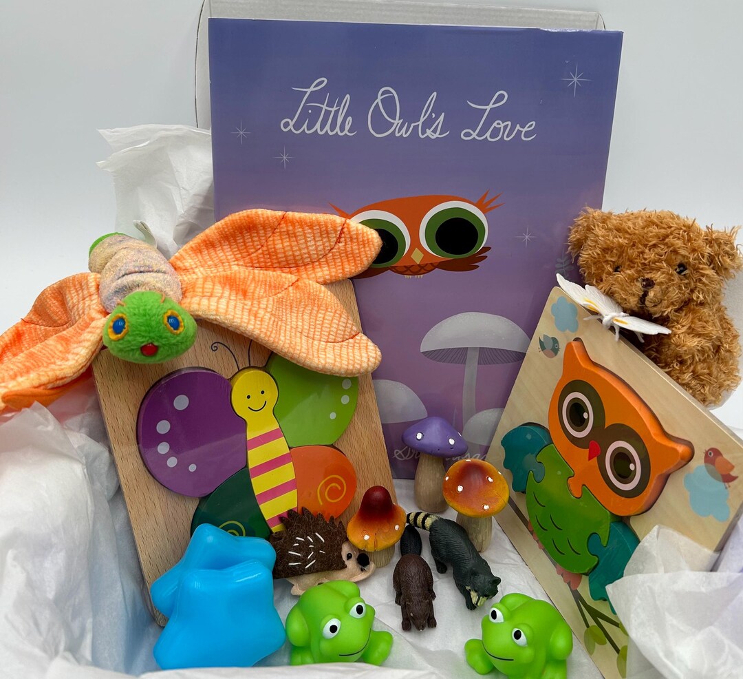 Little Owl's Love Picture Book Box With Miniatures - Etsy