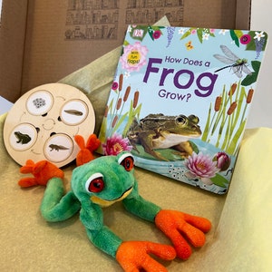 How Does a Frog Grow Book Box With Life Cycle and Plush - Etsy