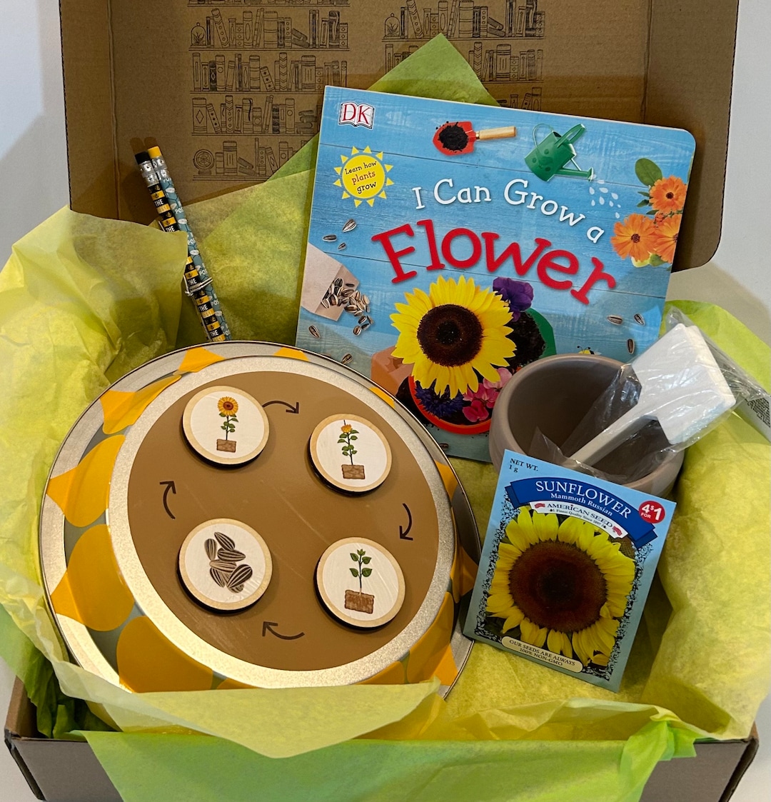 I Can Grow a Flower Board Book Box - Etsy