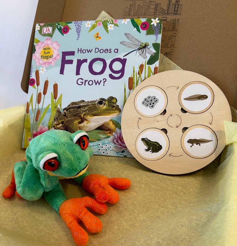 How Does a Frog Grow Book Box With Life Cycle and Plush - Etsy