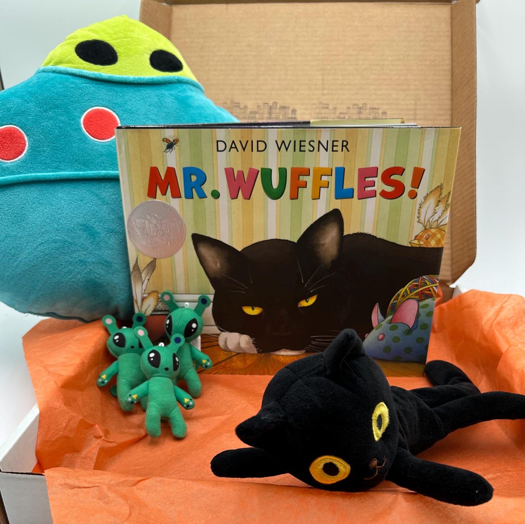 Mr. Wuffles! Picture Book Box With Plush and Pillow - Etsy