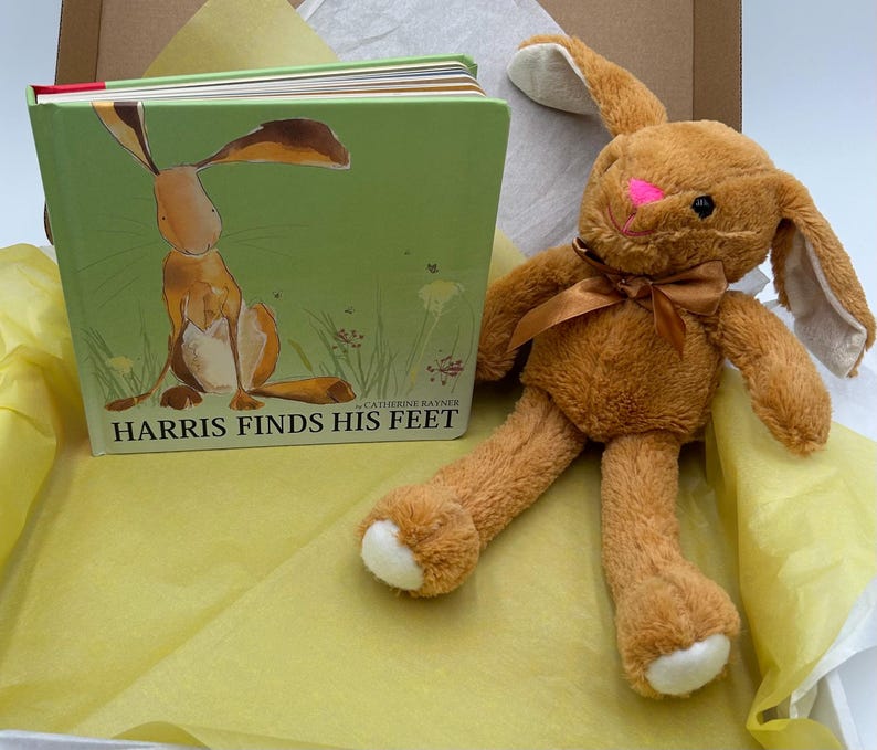 Harris Finds His Feet Board Book Box With Plush Bunny - Etsy