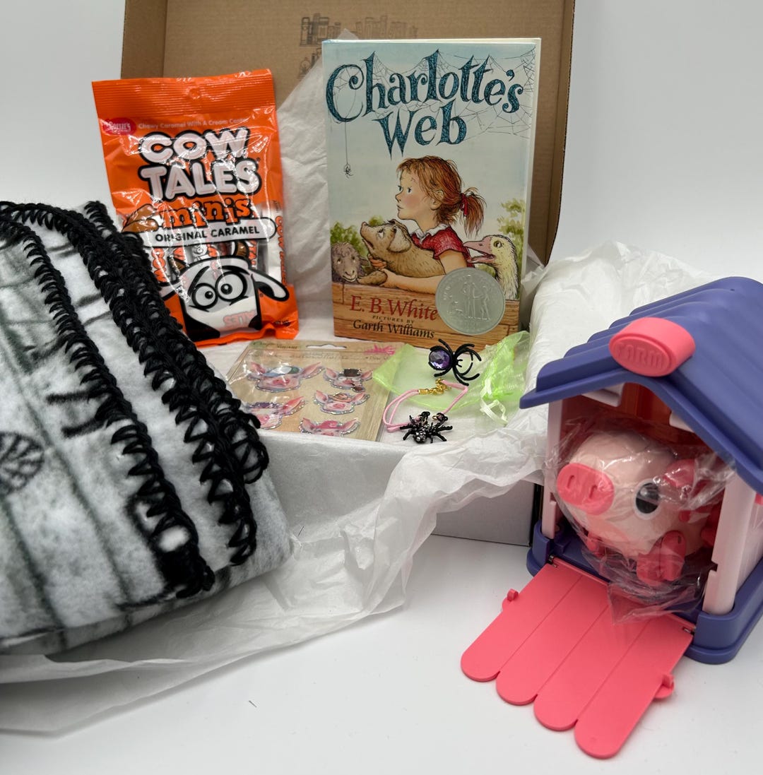 Charlotte's Web by E.B. White Chapter Book Box for Kids - Etsy
