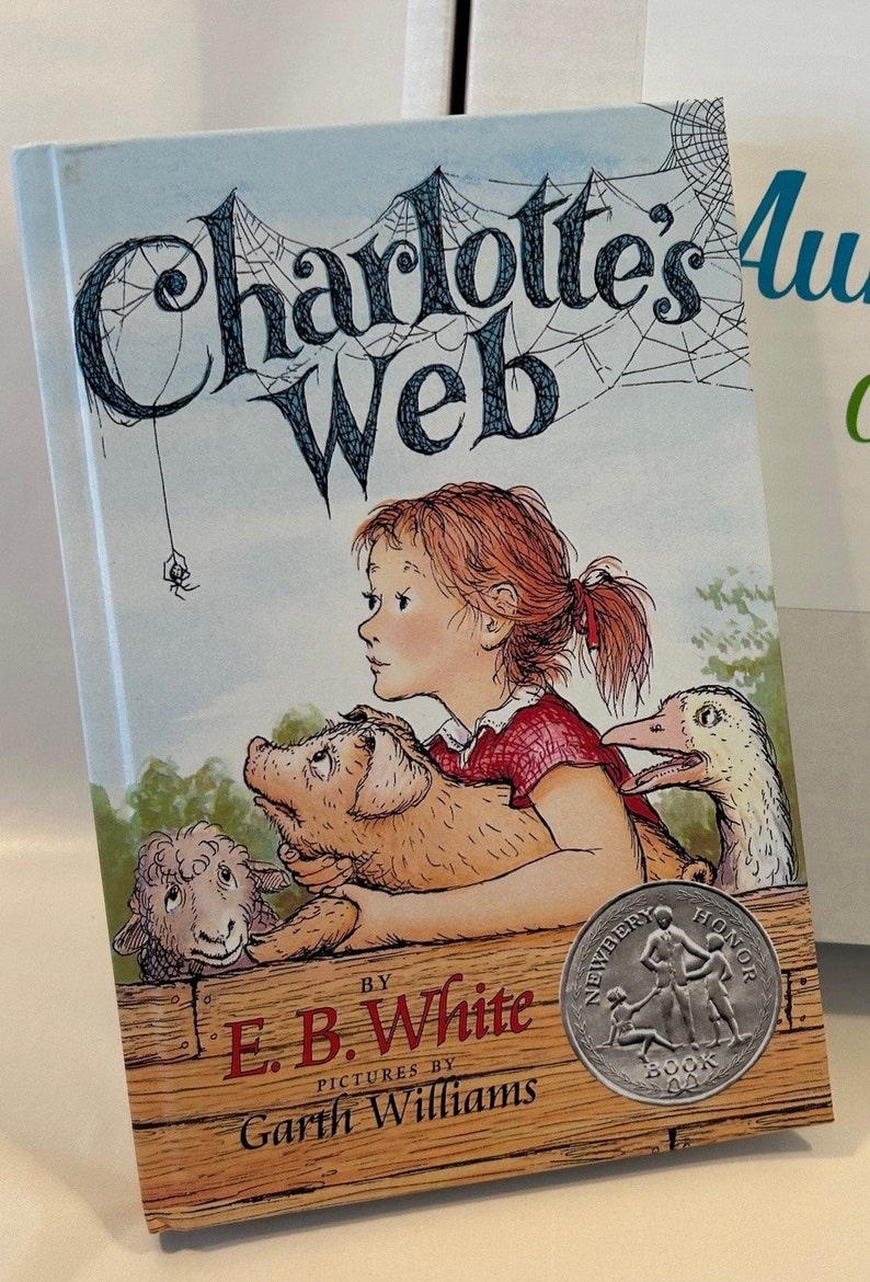 Charlotte's Web by E.B. White - Chapter Book Box for Kids - Etsy