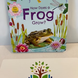 How Does a Frog Grow Book Box With Life Cycle and Plush - Etsy