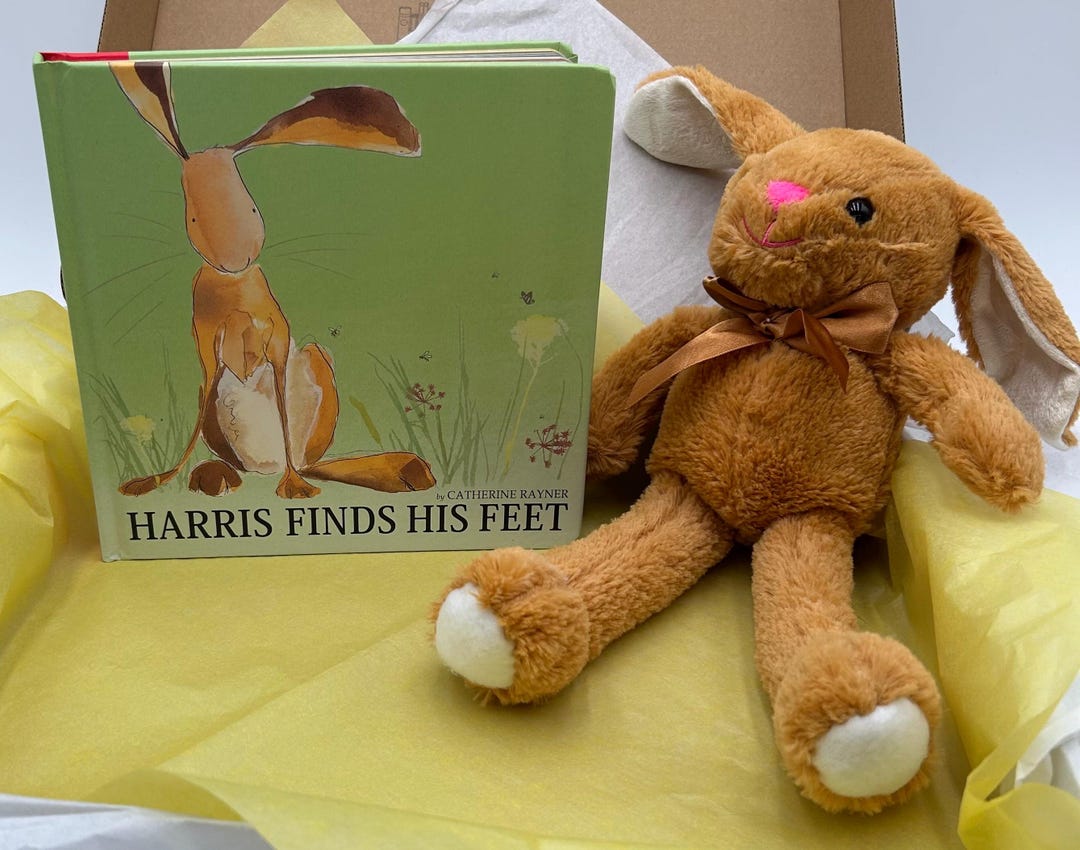Harris Finds His Feet Board Book Box With Plush Bunny - Etsy