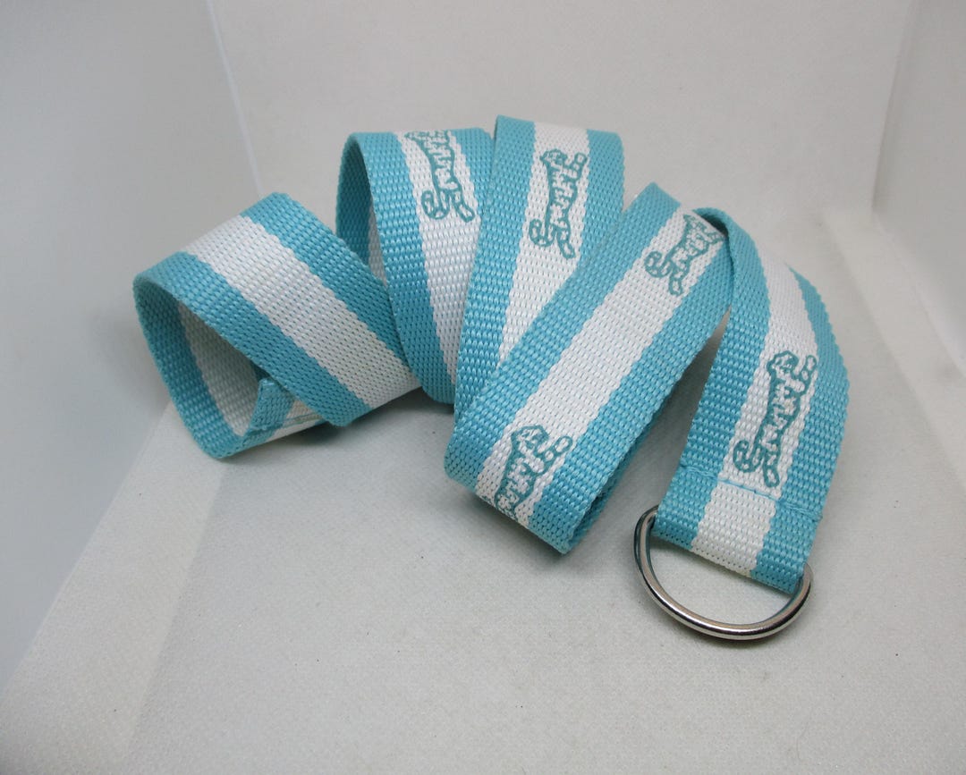 REVERSIBLE Fabric Belt Woven Belt Silver Tone Metal D-ring Closure ...