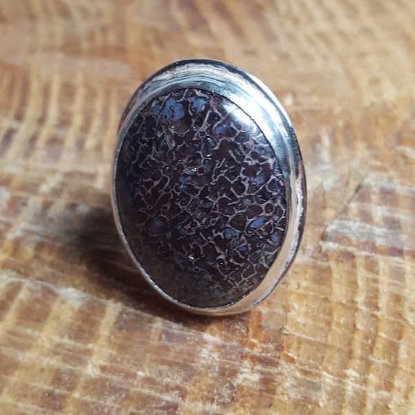 Dinosaur Bone Ring - Etsy