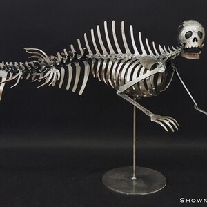 Merman Skeleton - Etsy
