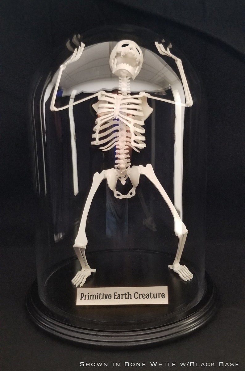 Primitive Earth Creature - Etsy