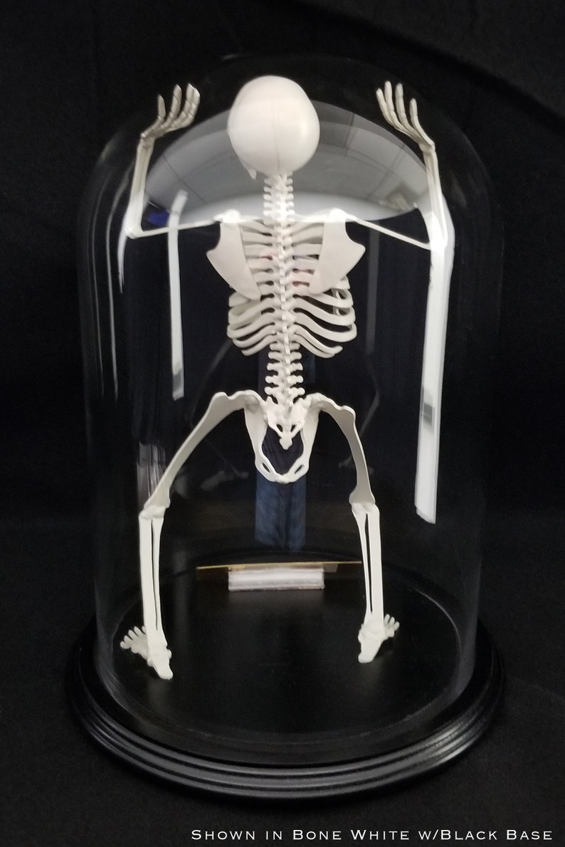 Primitive Earth Creature - Etsy