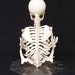 Zen Skeleton - Etsy