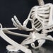 Zen Skeleton - Etsy