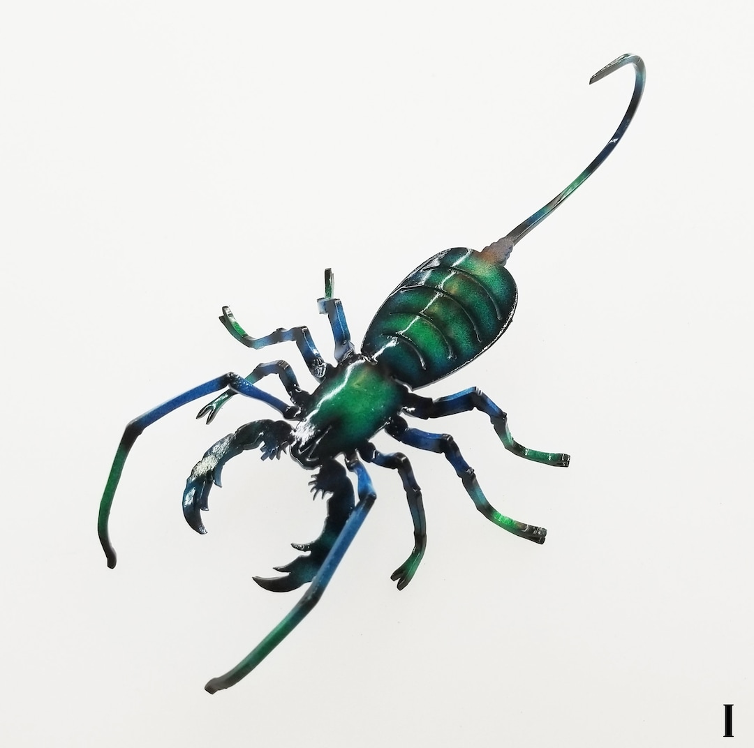 Vinegaroon (large) - Etsy