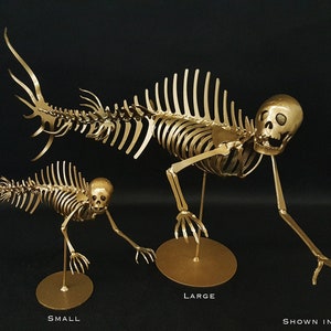 Merman Skeleton - Etsy