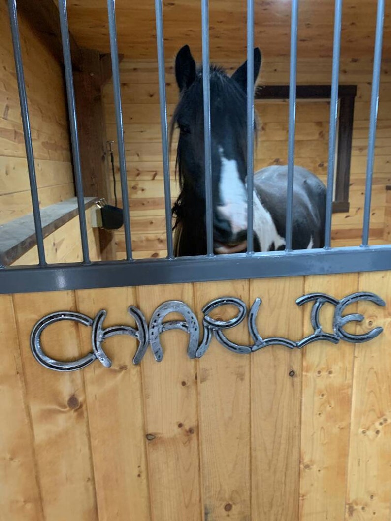 Custom Made Horseshoe Sign Priced per Letter FREE SHIPPING | Etsy