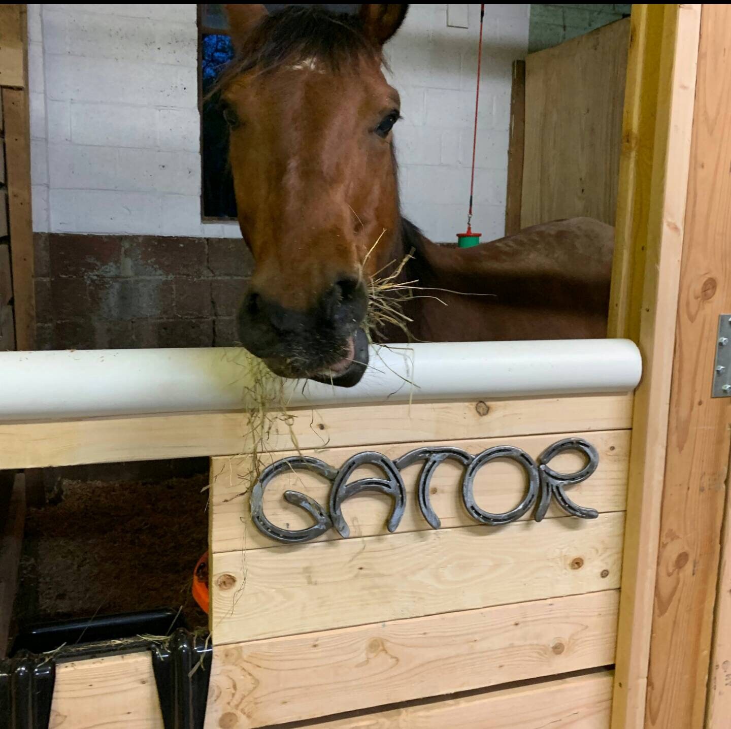 Custom Made Horseshoe Sign Priced per Letter FREE SHIPPING - Etsy