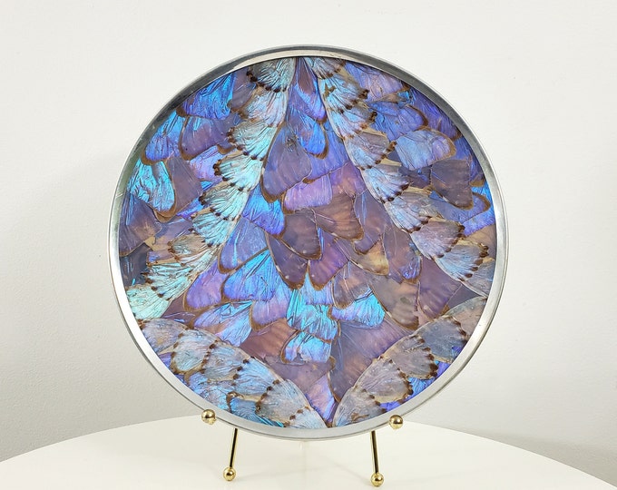 Vintage Blue Morpho Butterfly Wing Plate - Aluminum Back Wall Plate - Etsy
