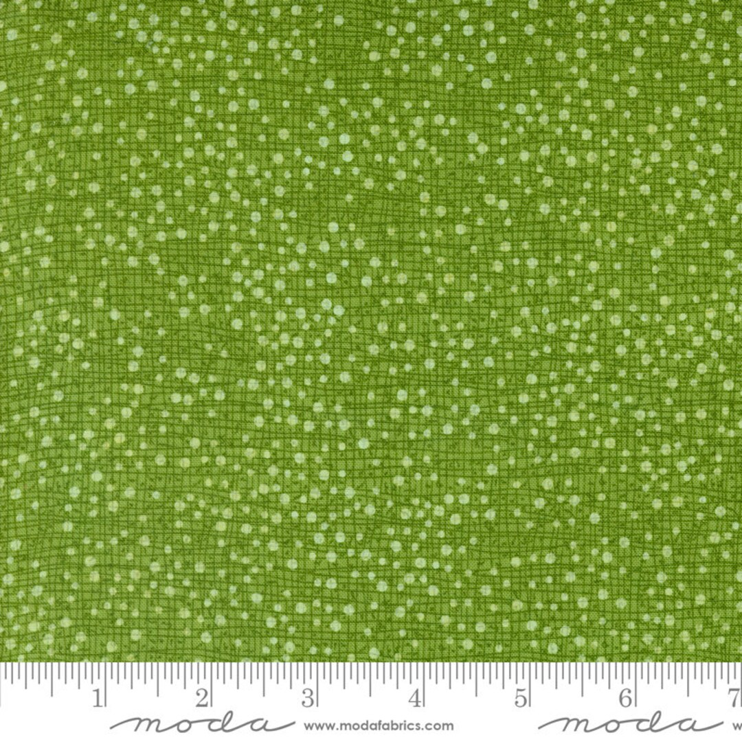 Moda "winterly" Fabric Designed by Robin Pickens Sold by the 1/2 Yard ...